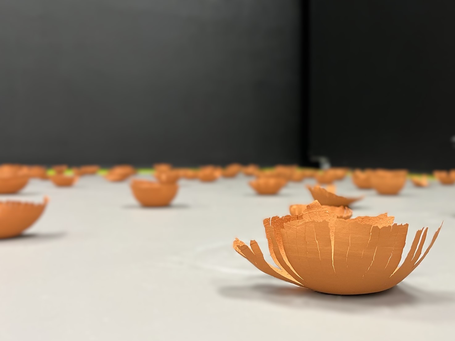 Crushed, August 20-27th 2024, Fifth Parallel Gallery, University of ...